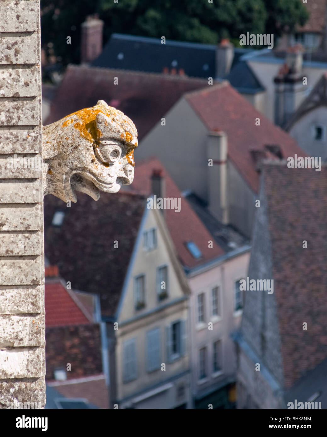Chartres, France - Notre Dame Cathedral, Gargoyle, Architectural Detail ...