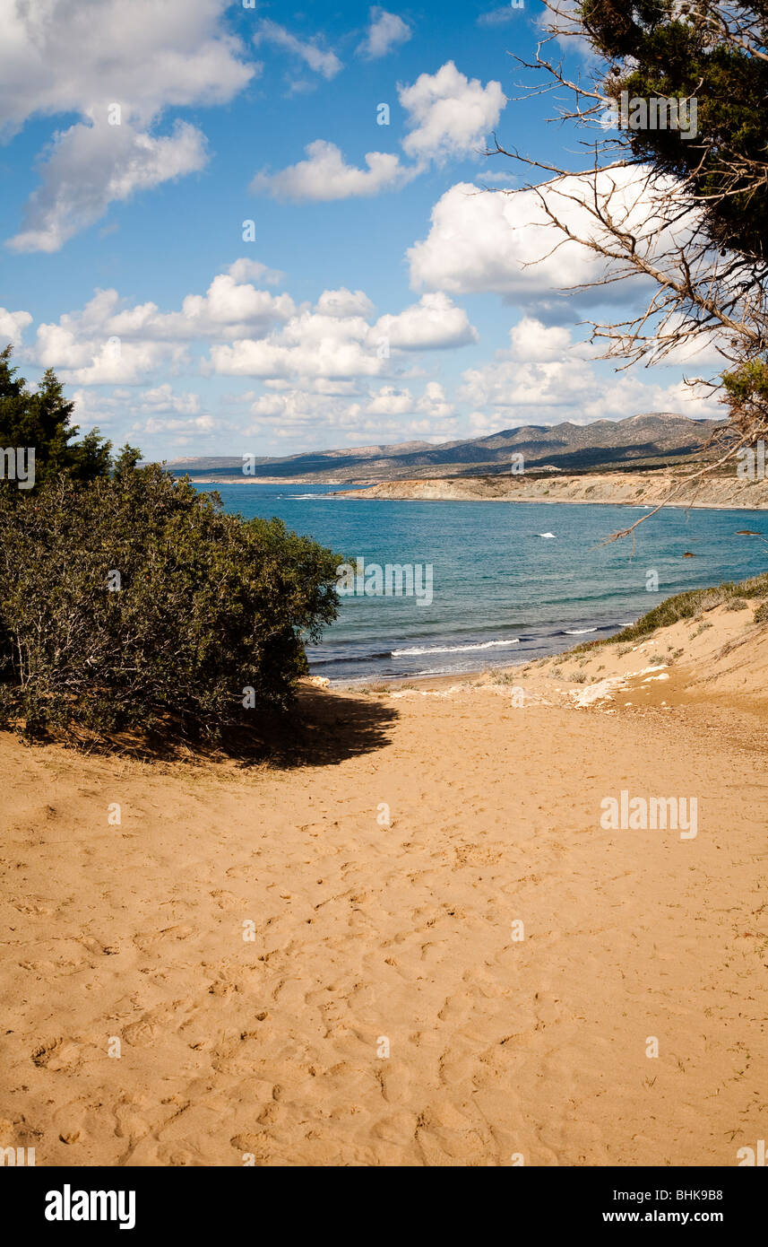 Lara beach cyprus hi-res stock photography and images - Alamy