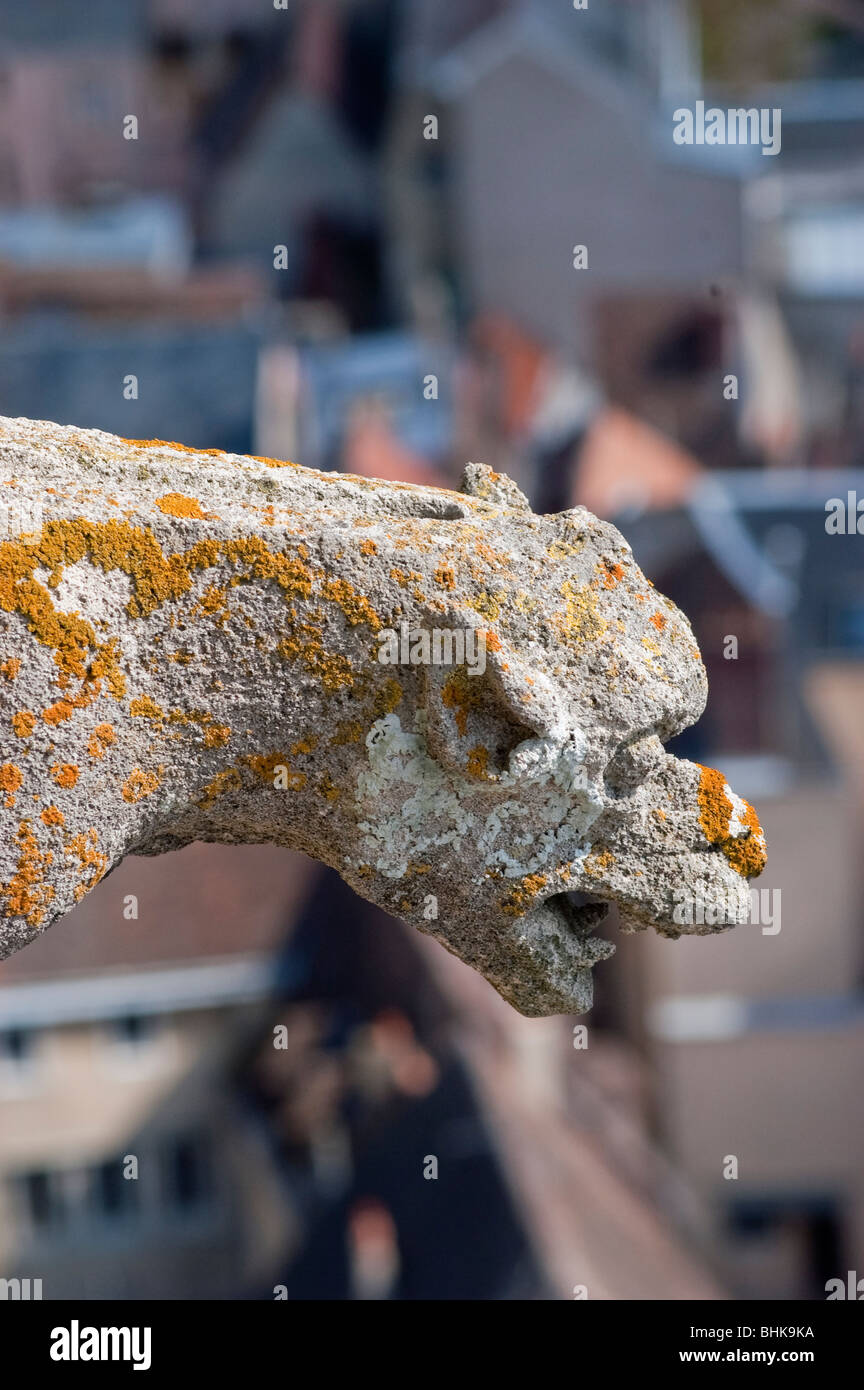 Monuments Sunny Summer Holidays Scenic Traditional Chartres High ...