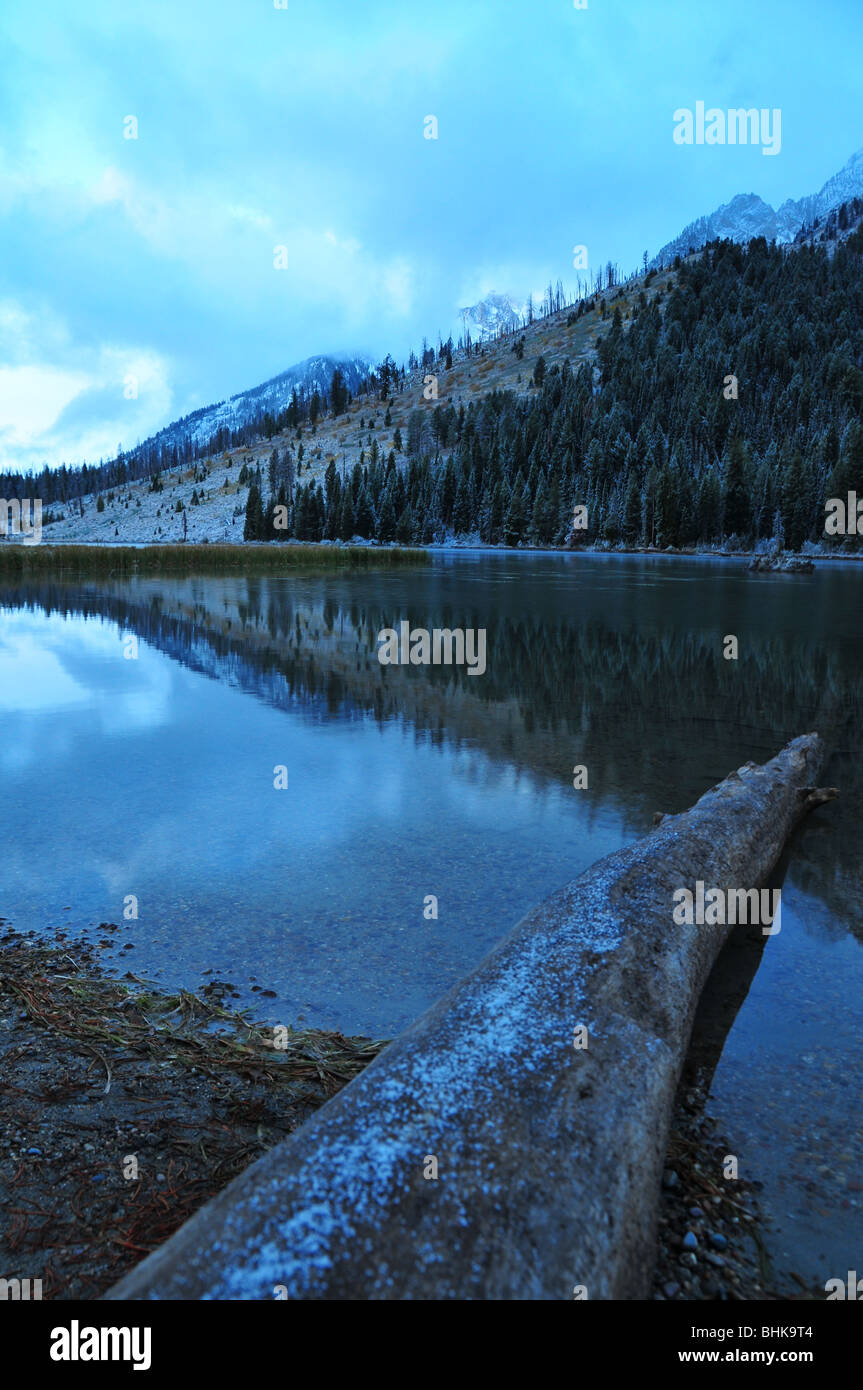 Half way tree hi-res stock photography and images - Alamy