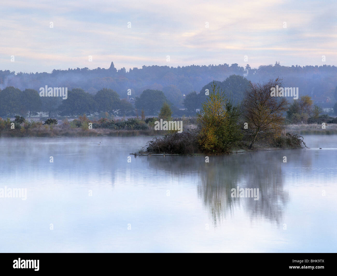 Finchampstead Berkshire England UK. Lake in Moor Green Lakes Nature ...