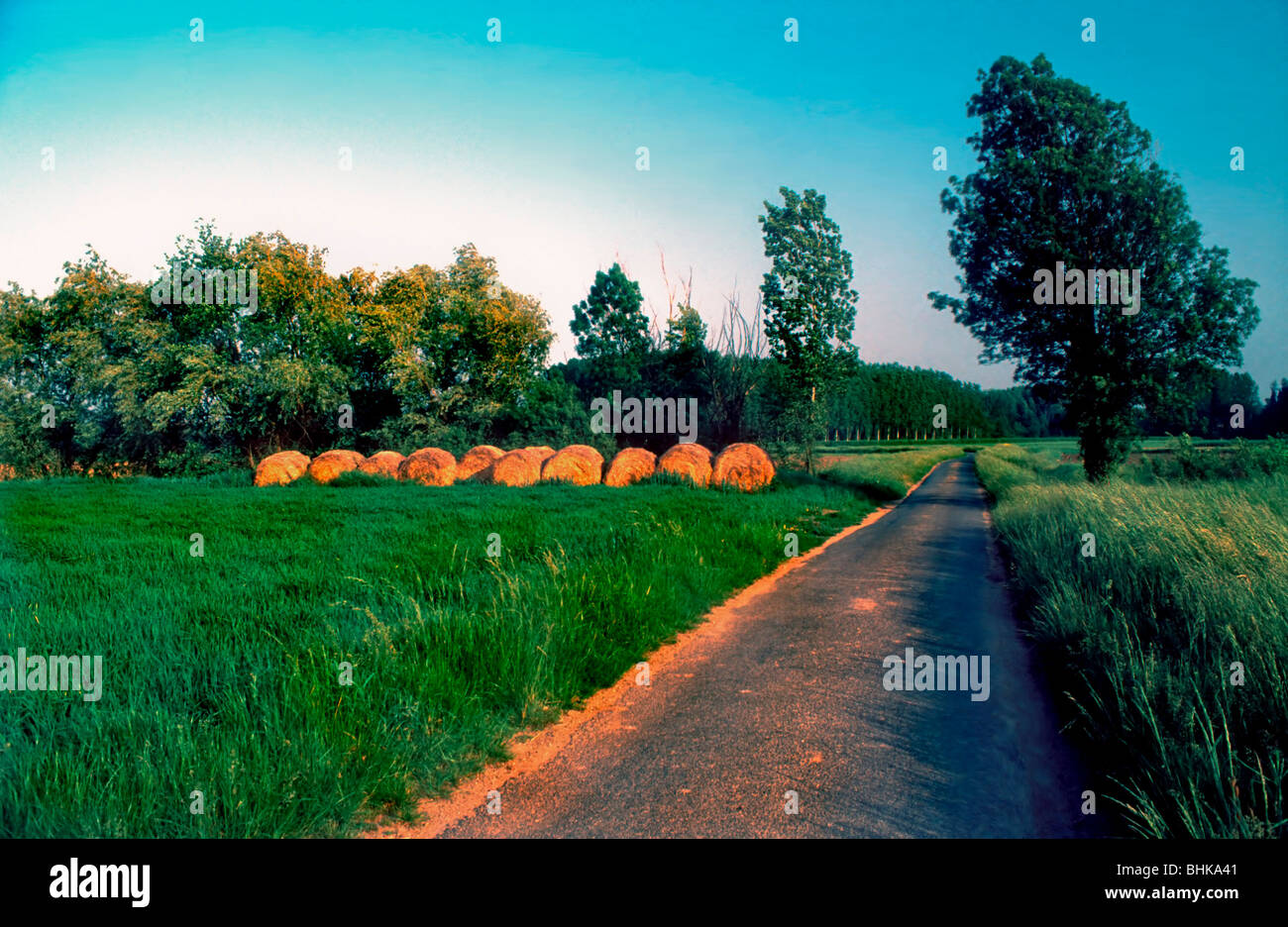 Loire Valley, France - french landscape environmental with Rolled Up ...