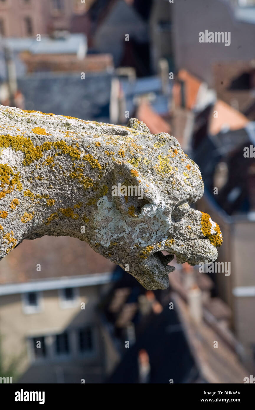 Chartres, France - Notre Dame Cathedral, Gargoyle Close up ...