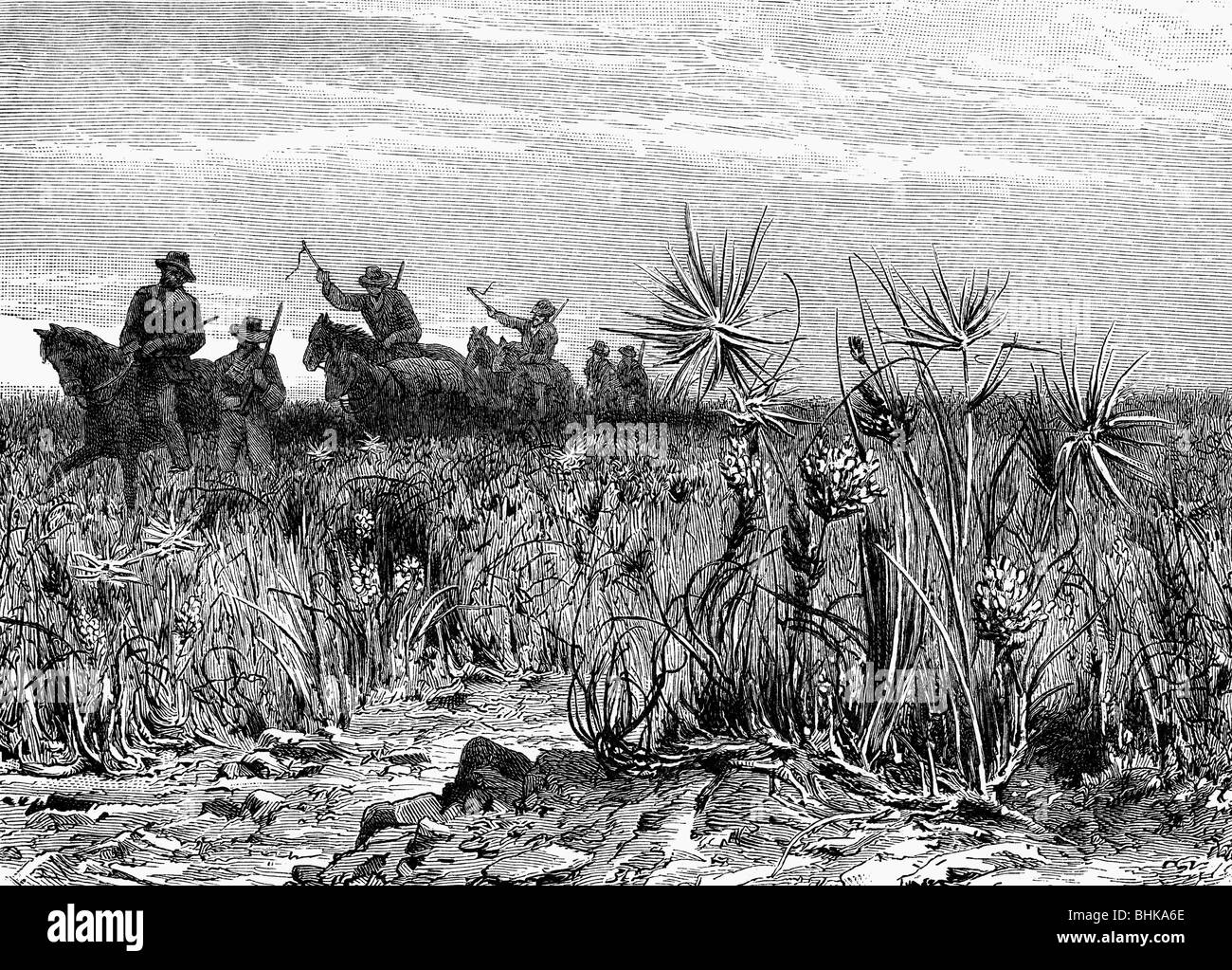 Stuart, John McDouall, 7.9.1815 - 5.6.1866, Scottish explorer of ...