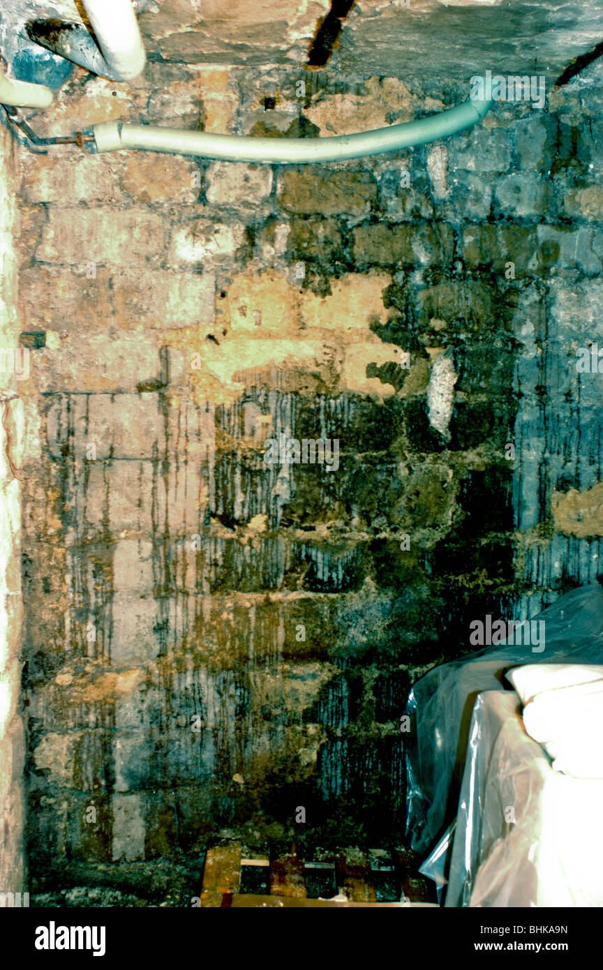 France, Broken Water Pipes Damage to Walls in Basement Apart-ment ...