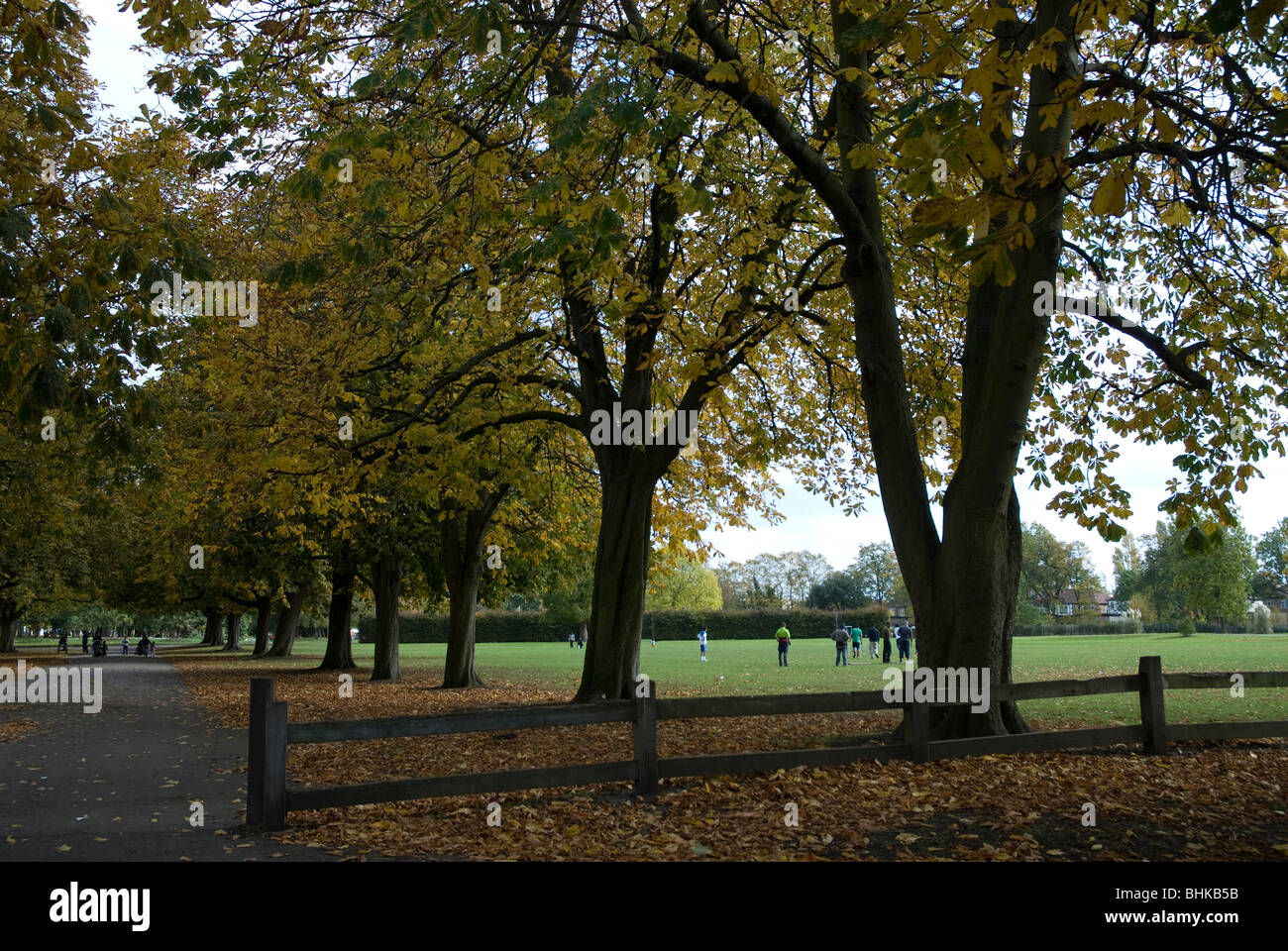 Trees with leaves of autumn colours in Southall Park West London UK ...