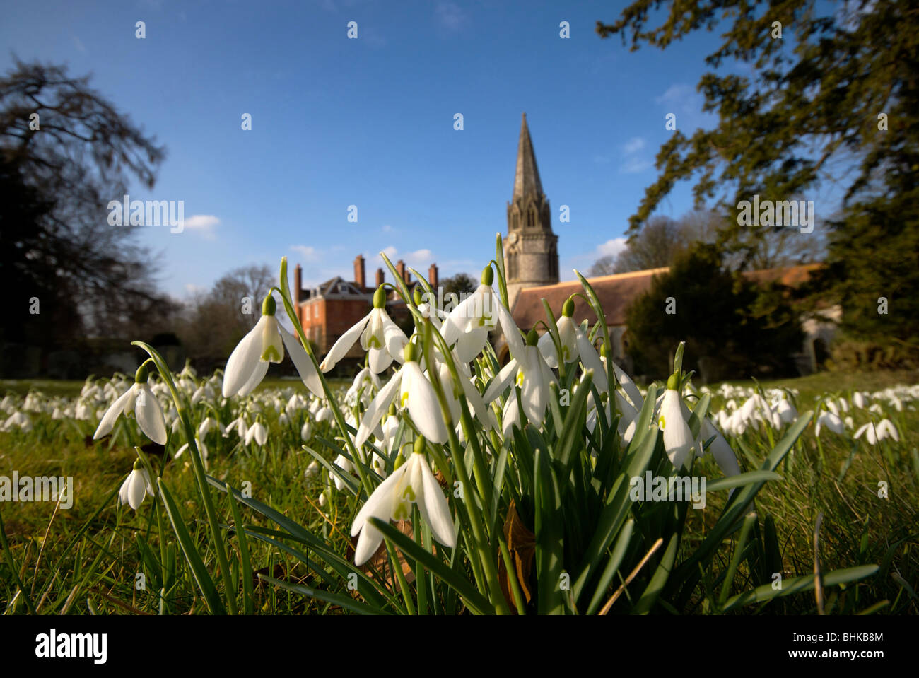 Wickham Parish Church Berkshire UK Snowdrops Winter Spring Stock Photo ...
