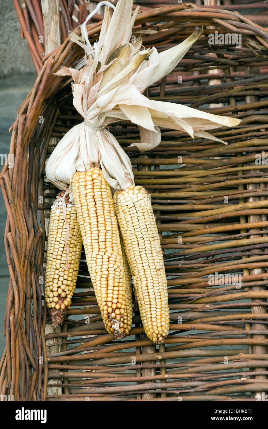 Old fashioned farmer corn hi-res stock photography and images - Alamy