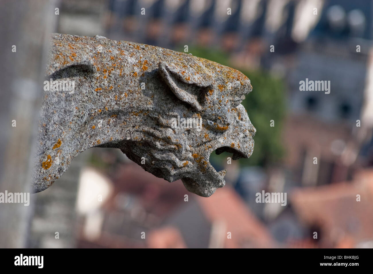 Chartres, France - Notre Dame Cathedral, Gargoyle Close up ...