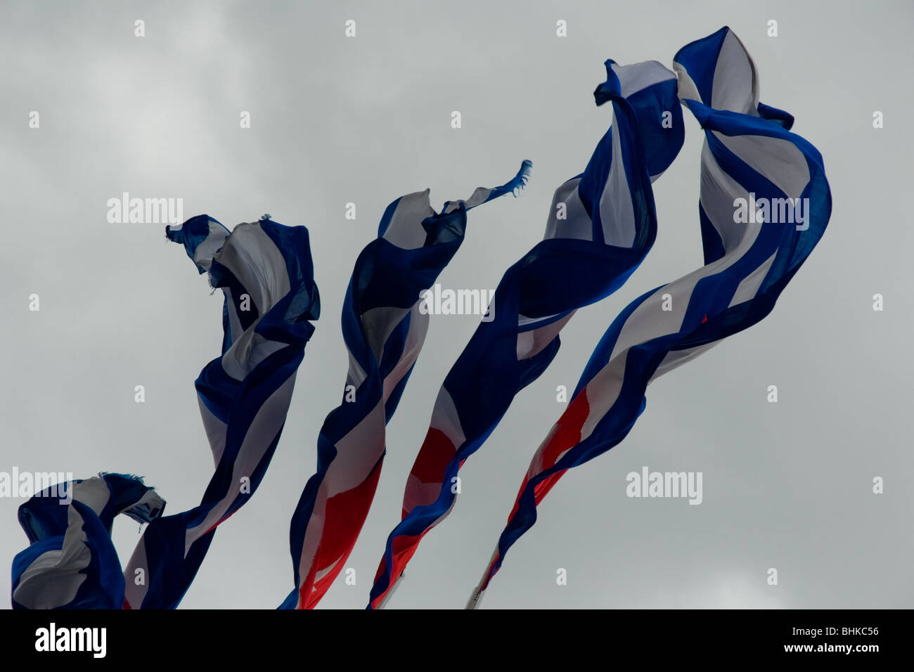 Cuban national flags wave in hi-res stock photography and images - Alamy