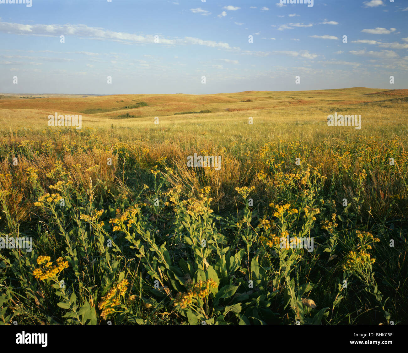 NORTH DAKOTA - Open prairie in the North Unit of Theodore Roosevelt ...