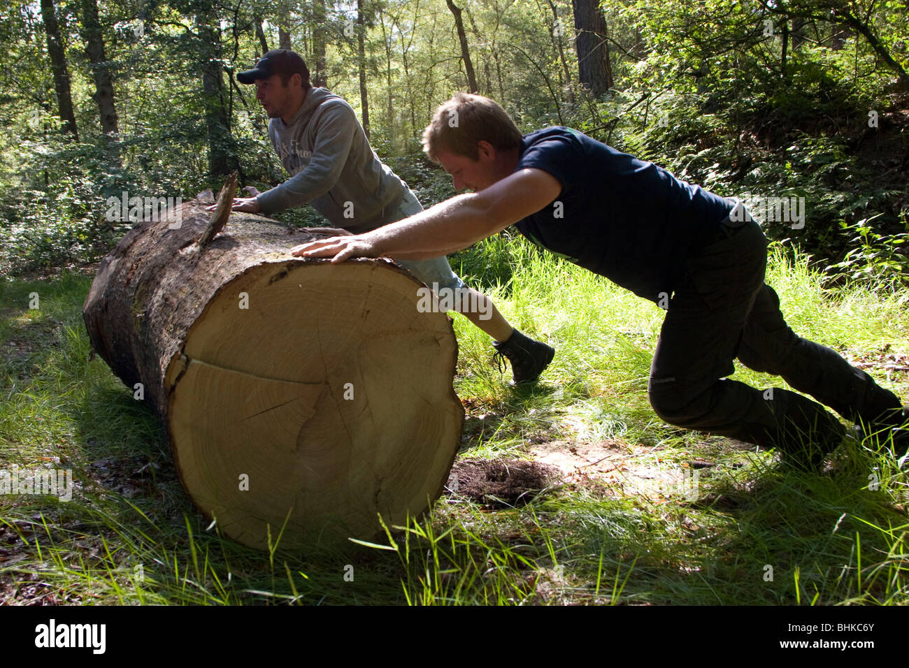 Tree stump carving hi-res stock photography and images - Alamy
