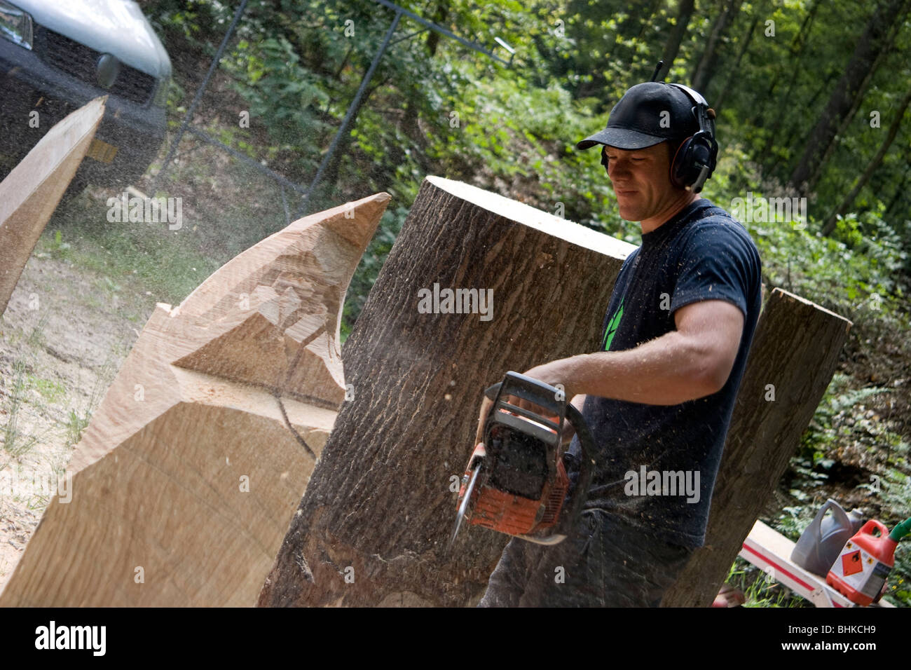 Tree carving from large tree stumps Stock Photo - Alamy