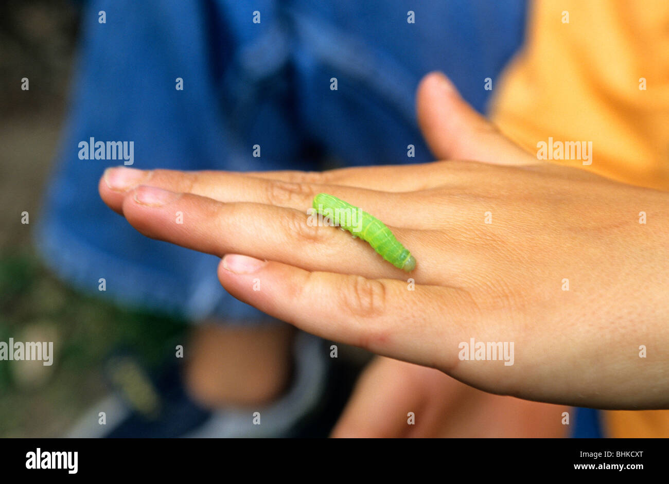 Sk83 333 hi-res stock photography and images - Alamy