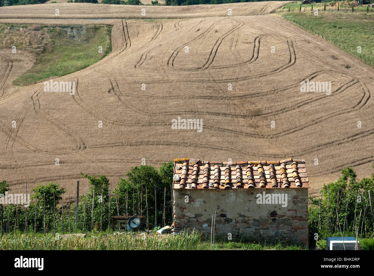Tuscan province hi-res stock photography and images - Alamy