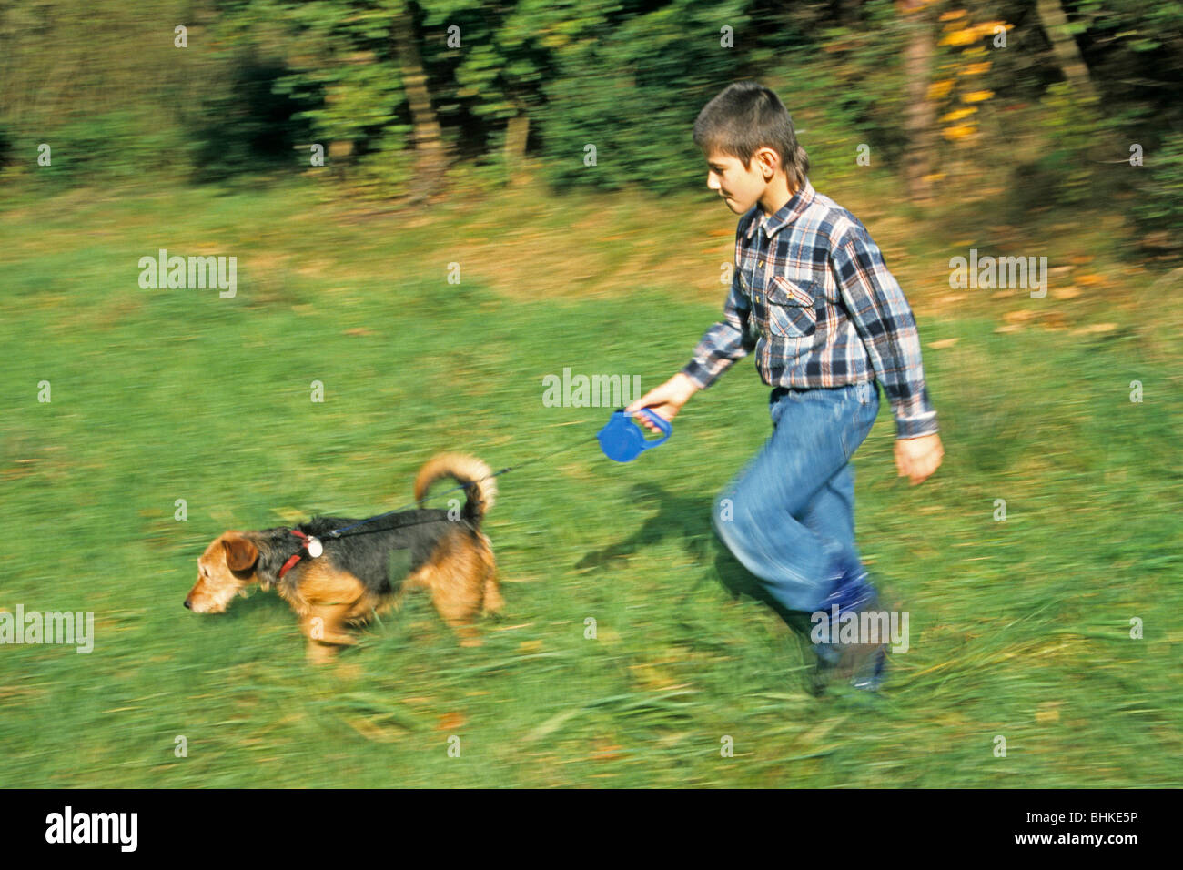 young boy walking his dog Stock Photo - Alamy