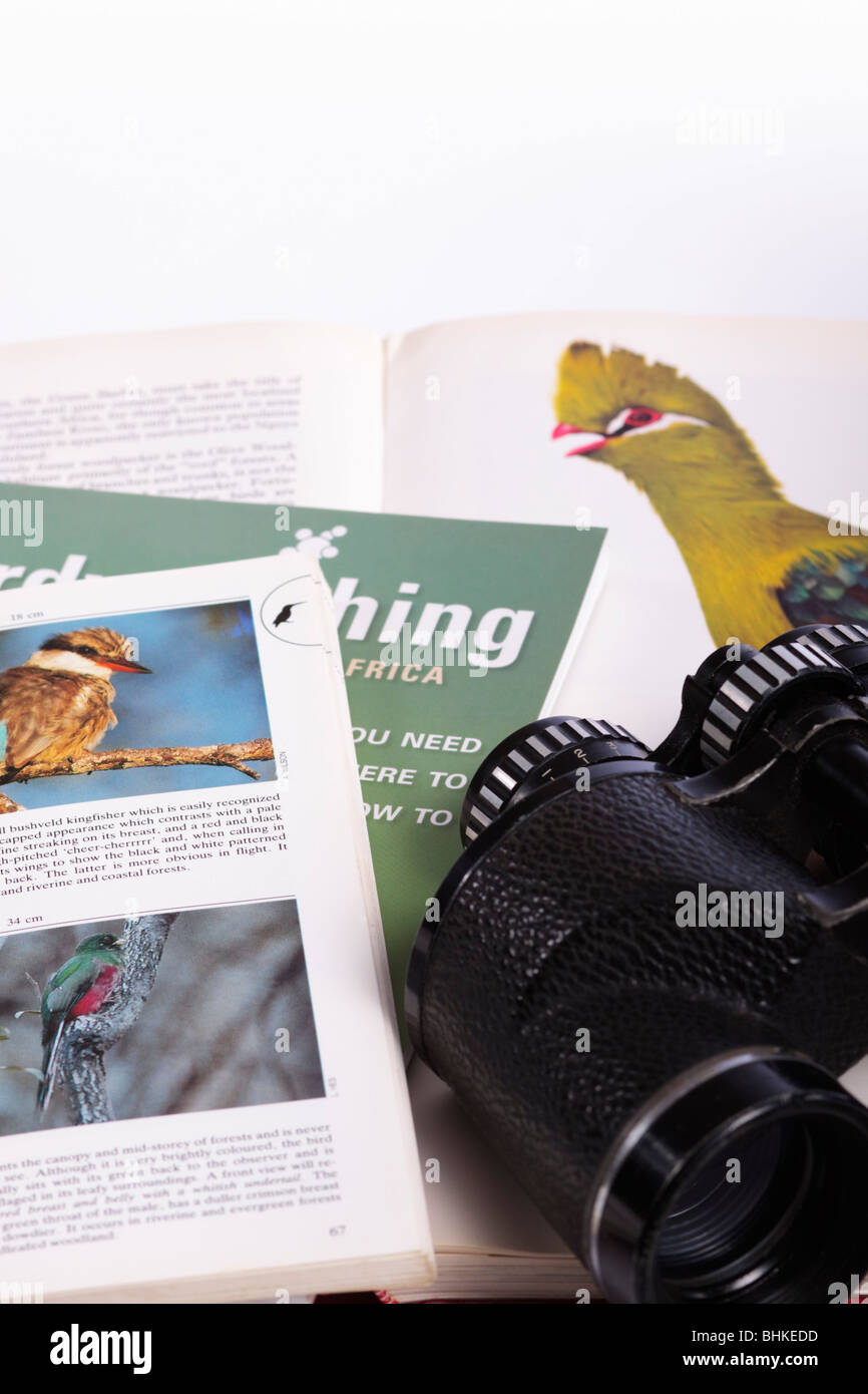 Collection of typical birdwatcher's tools including reference books and ...