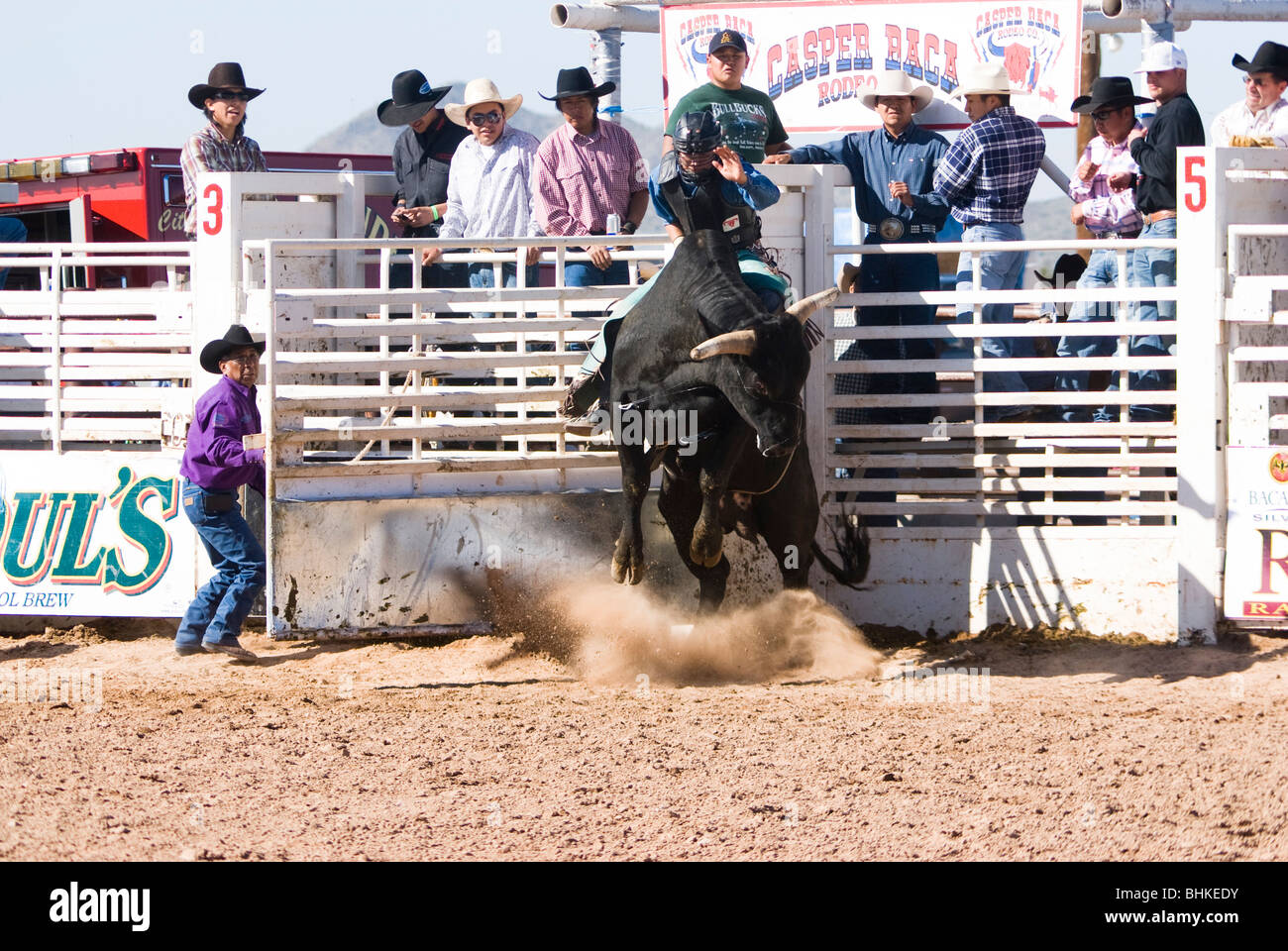 a cowboy competes in the bull riding event during the O'Odham Tash all ...