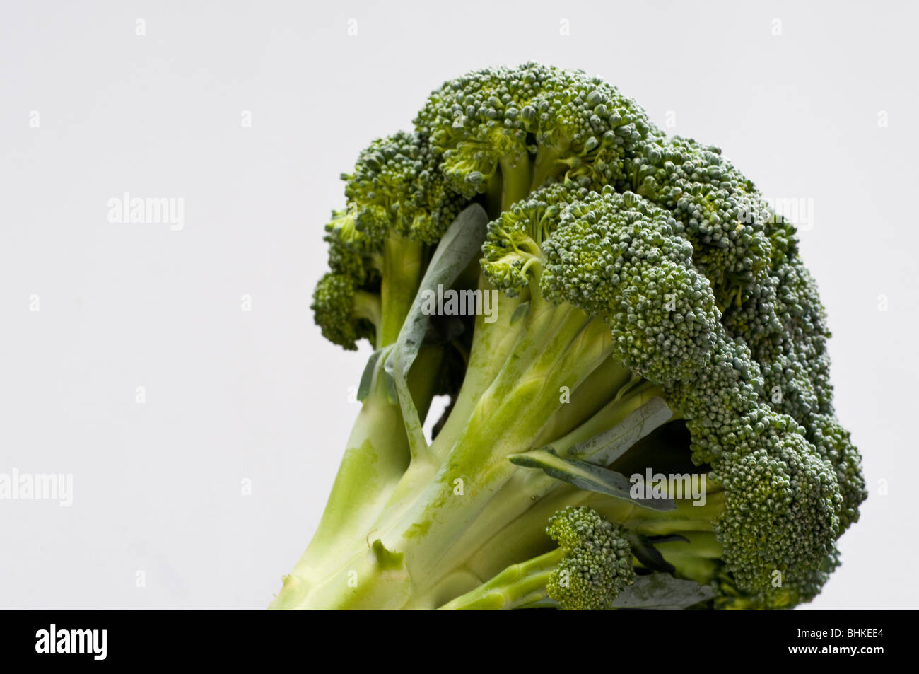 Broccoli bunches hi-res stock photography and images - Alamy