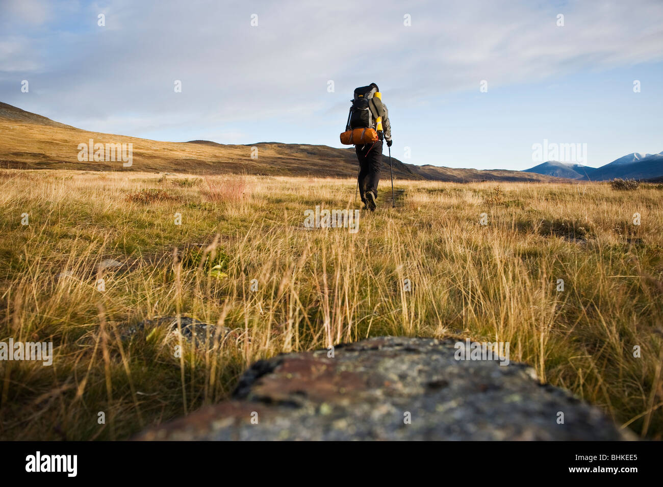 Single hiker hiking north through empty landscape in autumn on ...