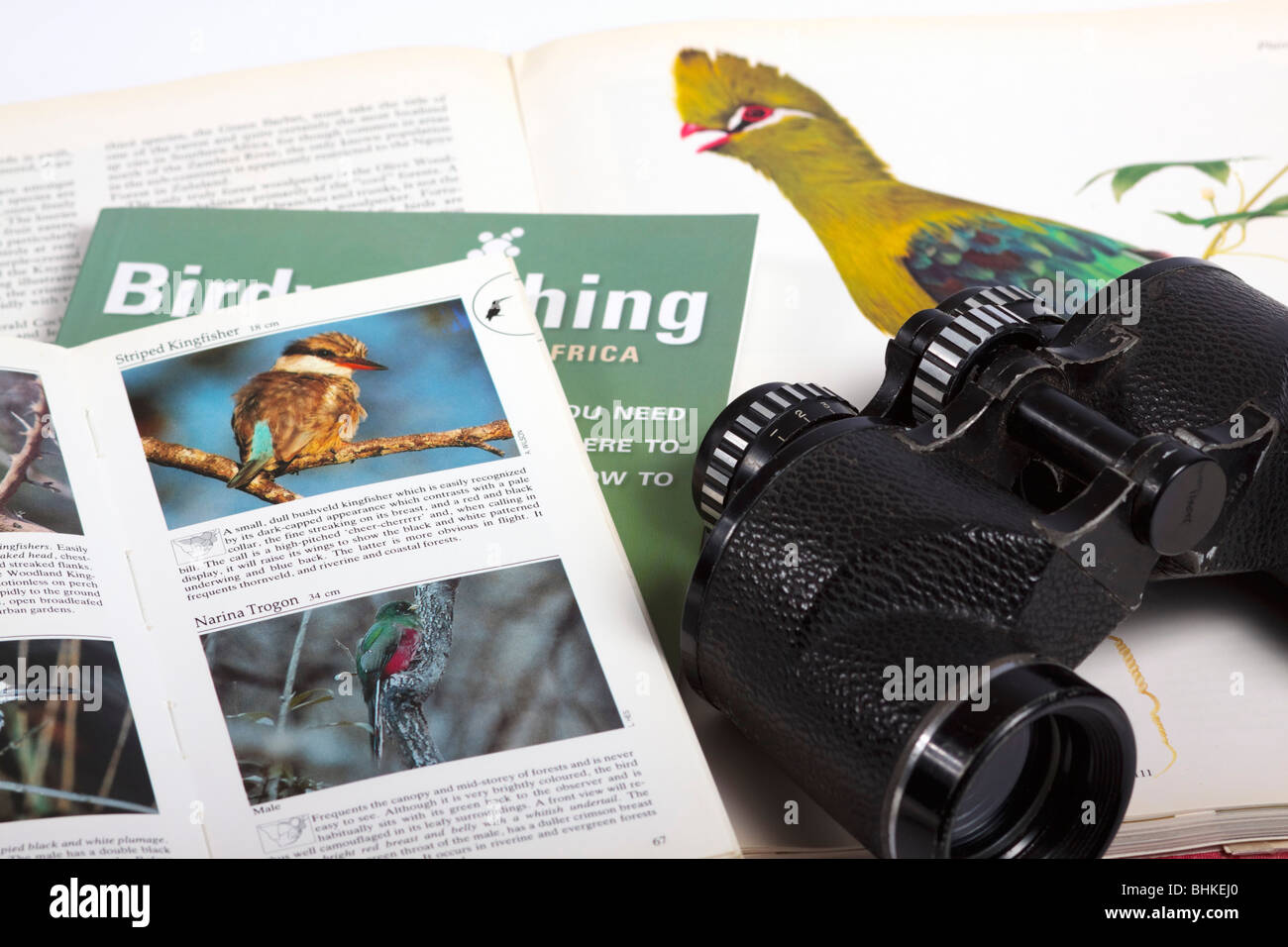 Collection of typical birdwatcher's tools including reference books and ...