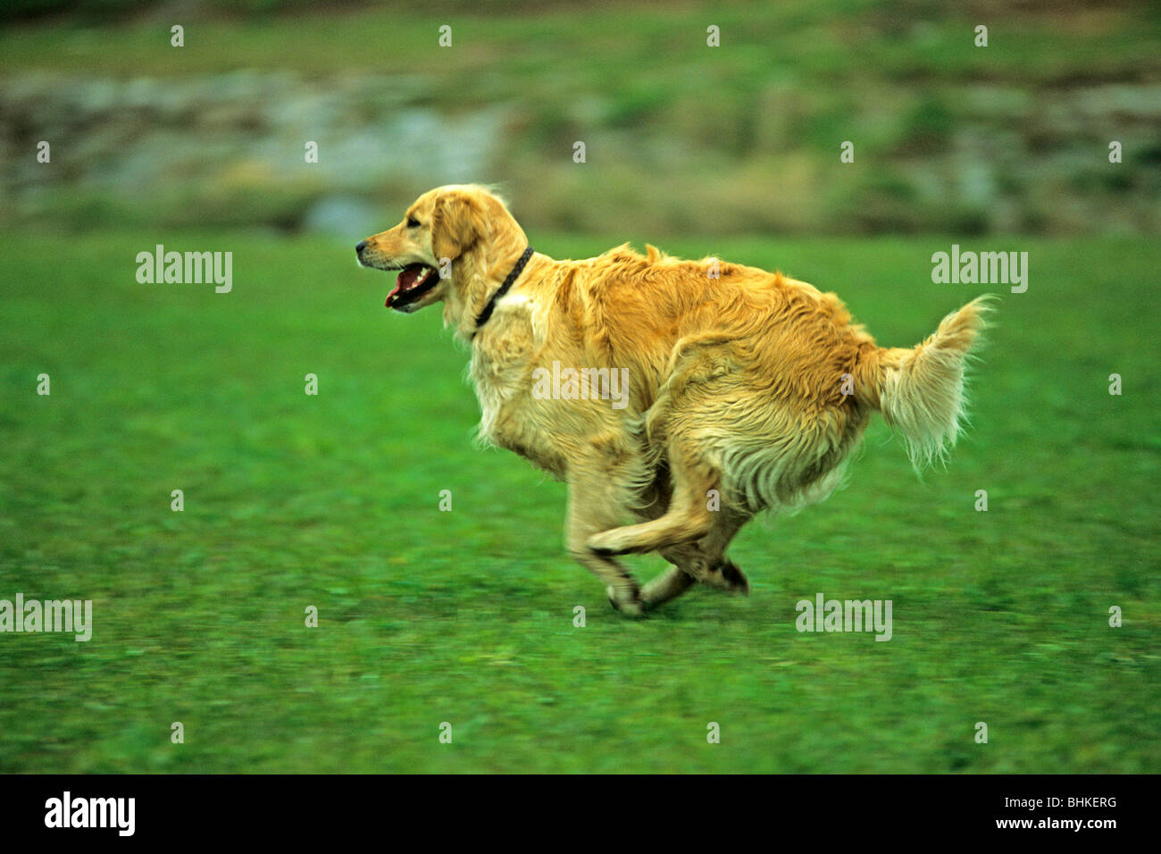 Sk83 672 hi-res stock photography and images - Alamy