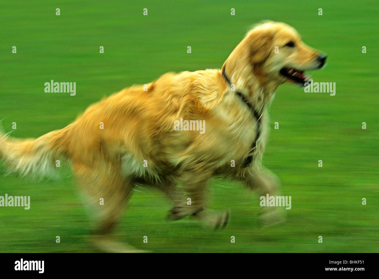 Sk83 673 hi-res stock photography and images - Alamy