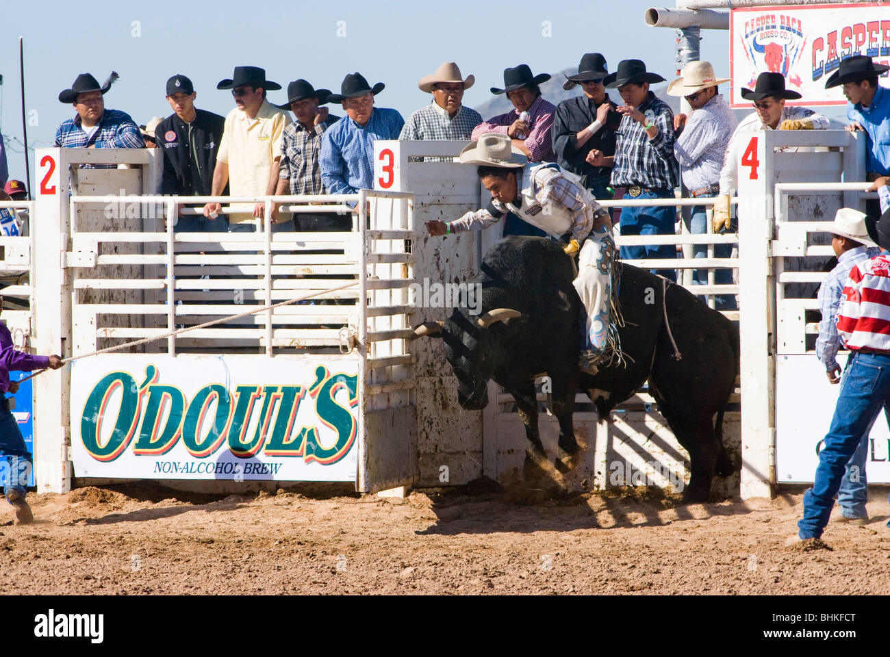 Cattle Chute High Resolution Stock Photography and Images - Alamy
