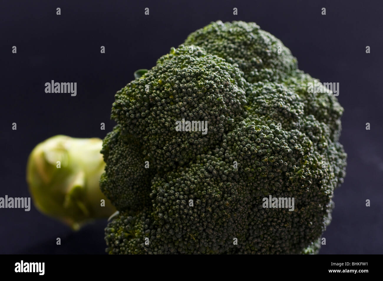 Broccoli bunches hi-res stock photography and images - Alamy