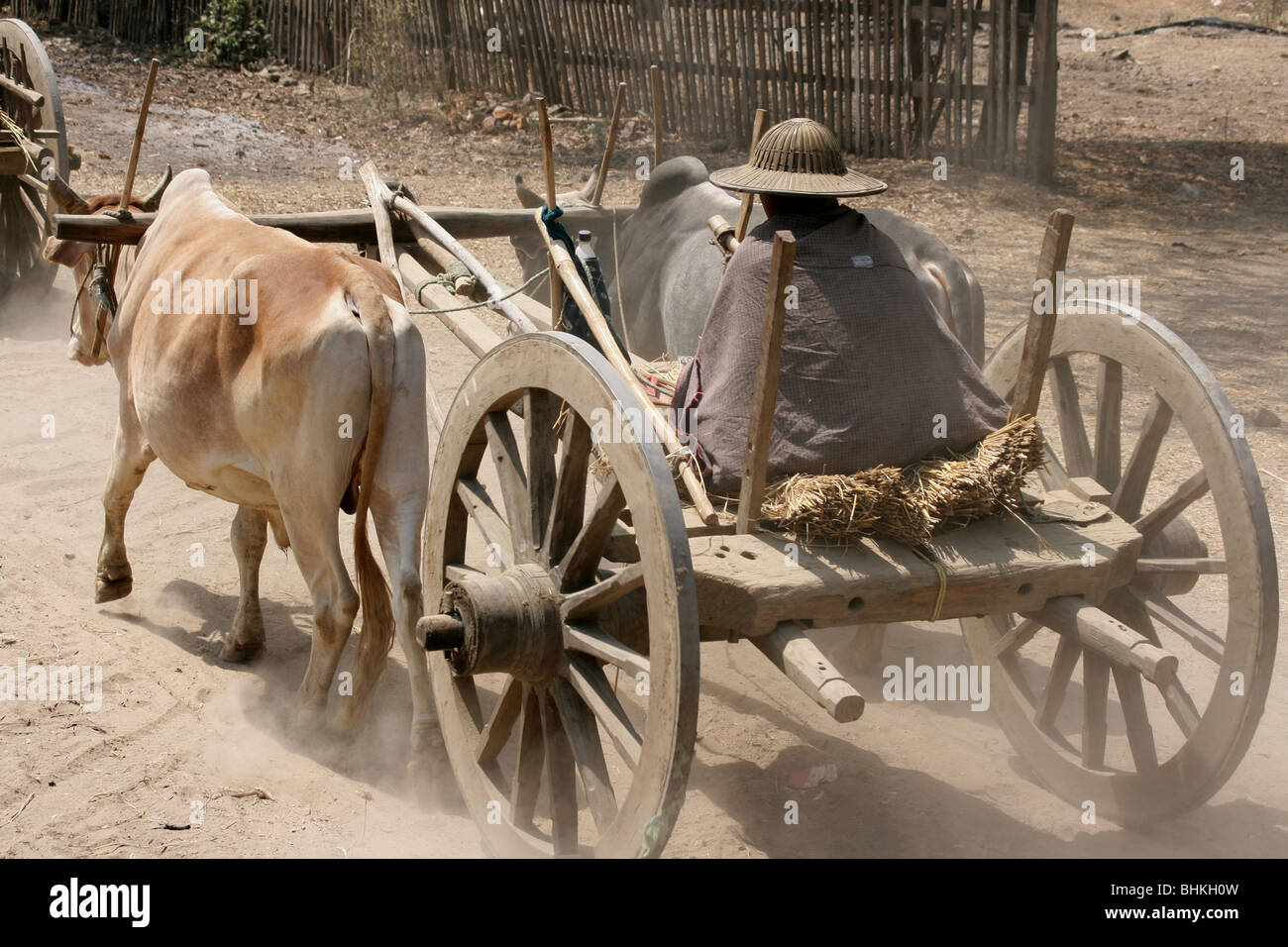 Buffalo cart hi-res stock photography and images - Alamy