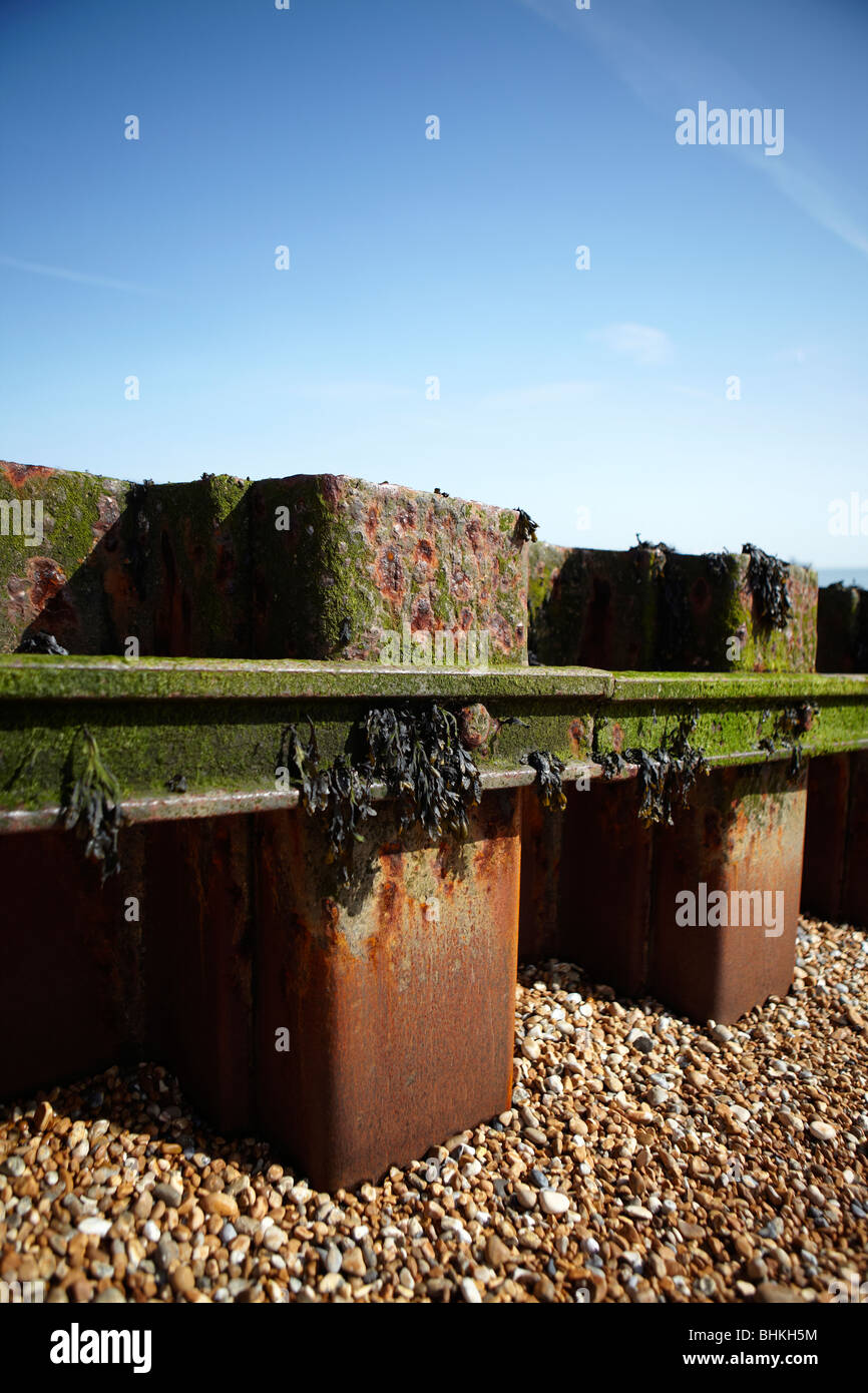 Seaweed and algae growing on breakers in Dover, UK Stock Photo - Alamy
