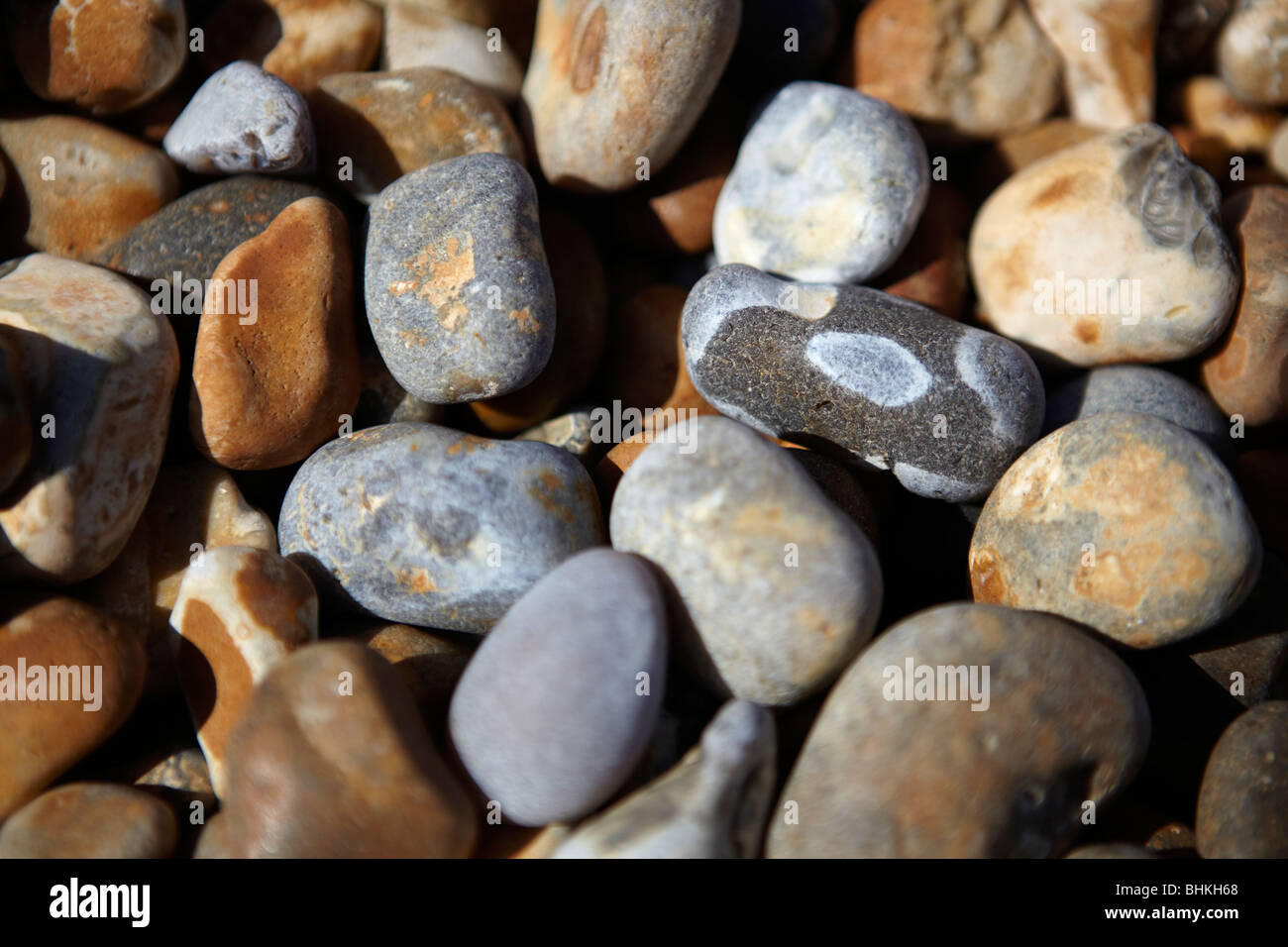 Pebbles on Dover beach, UK Stock Photo - Alamy