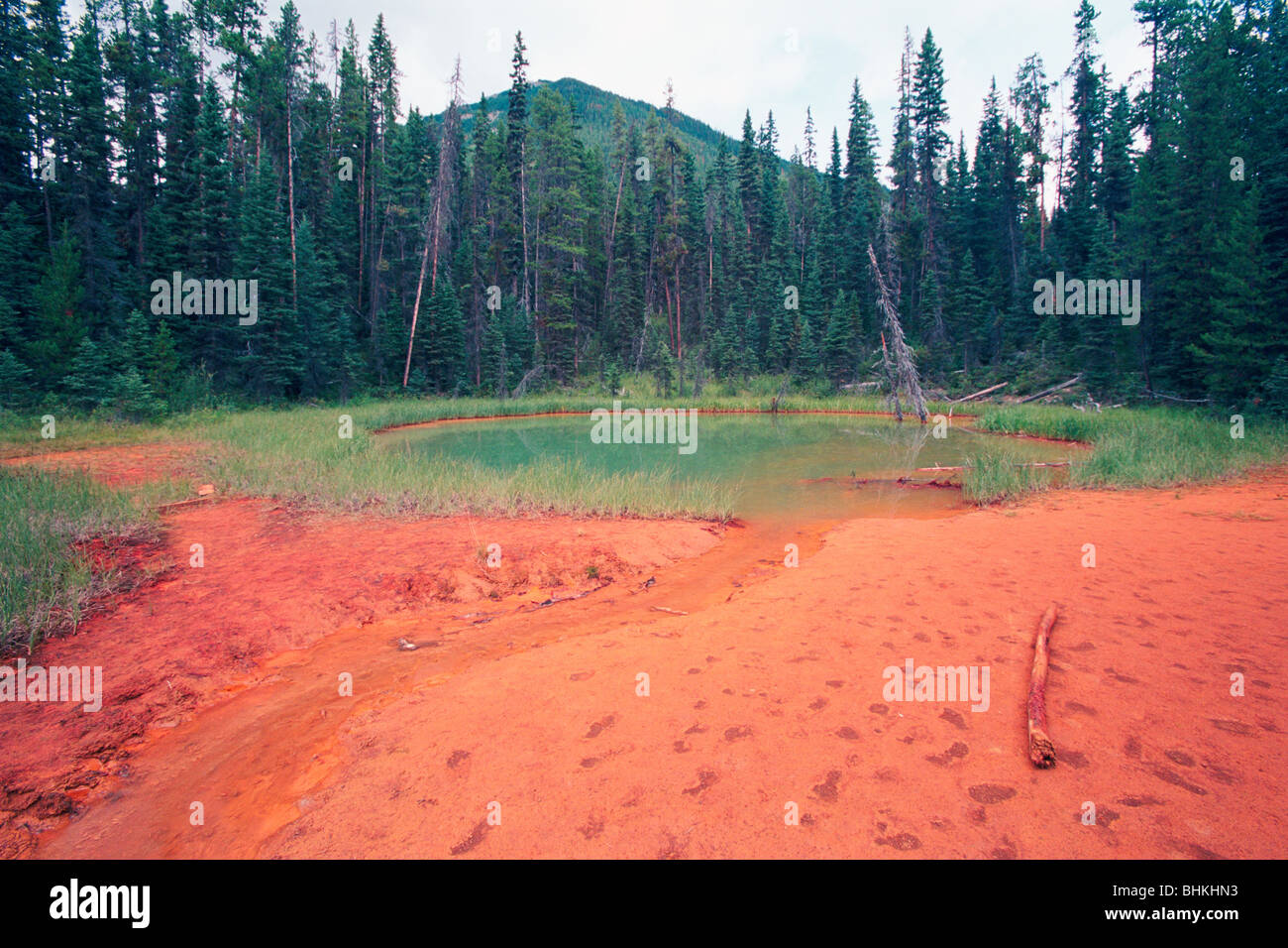 Red soil iron oxide hi-res stock photography and images - Alamy