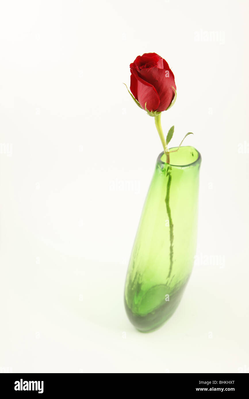 A single stemmed red rose in a green vase with a white background Stock ...