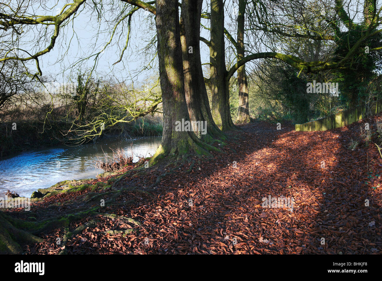 river running through old trees in the arrow valley country park ...