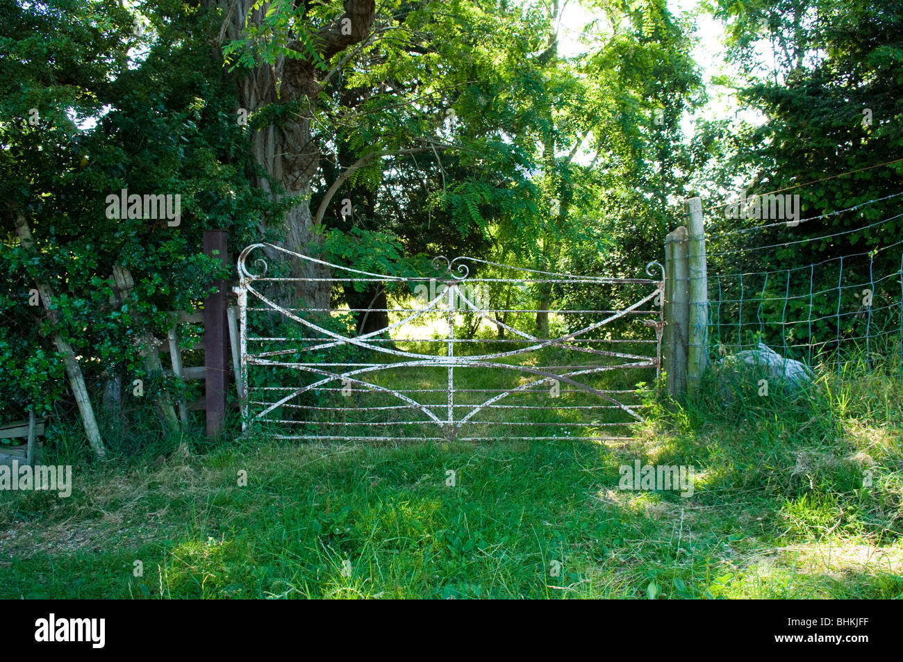 Decorative white wrought iron gate hi-res stock photography and images ...