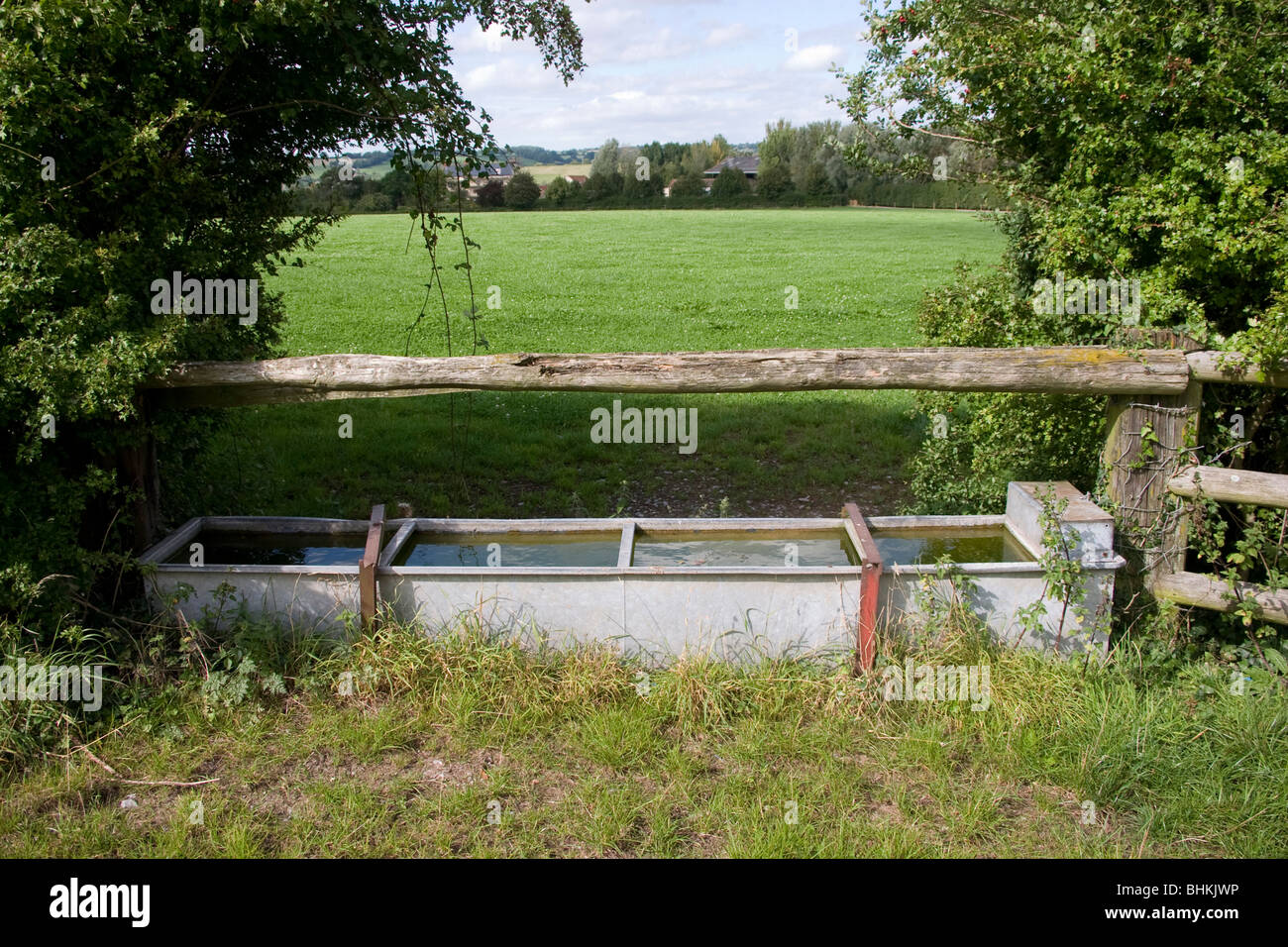 large water trough in a meadow Stock Photo - Alamy