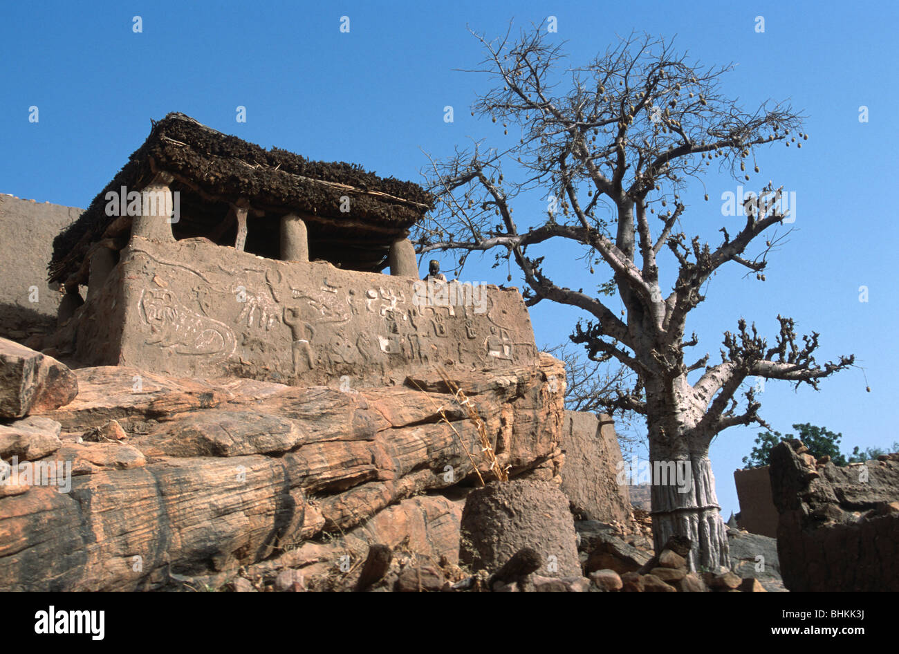 The Togu Na (or Casa Palaver) and a mature baobab tree, in Tereli, Pays ...