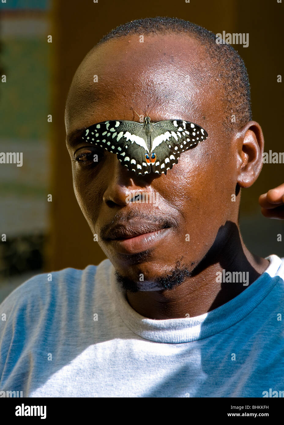Butterfly House High Resolution Stock Photography and Images - Alamy
