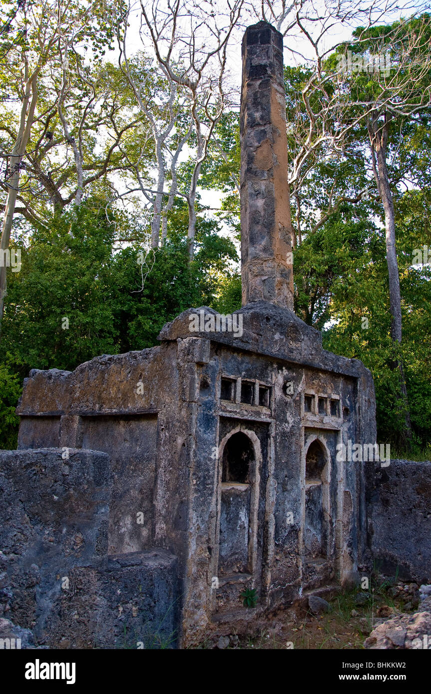 Gedi Ruins, Watamu, Kenya, Africa Stock Photo - Alamy