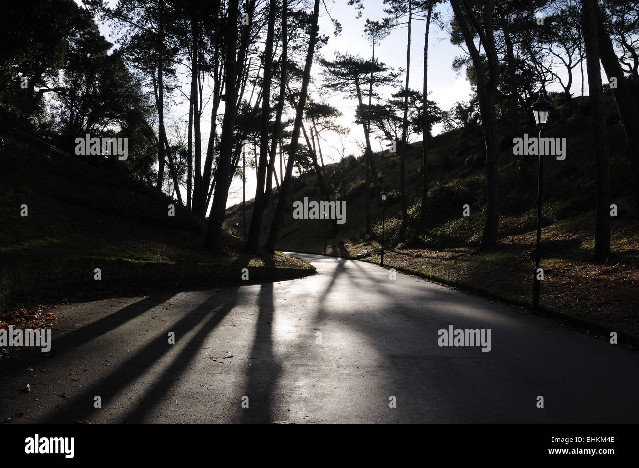 Boscombe Chine Gardens High Resolution Stock Photography and Images - Alamy