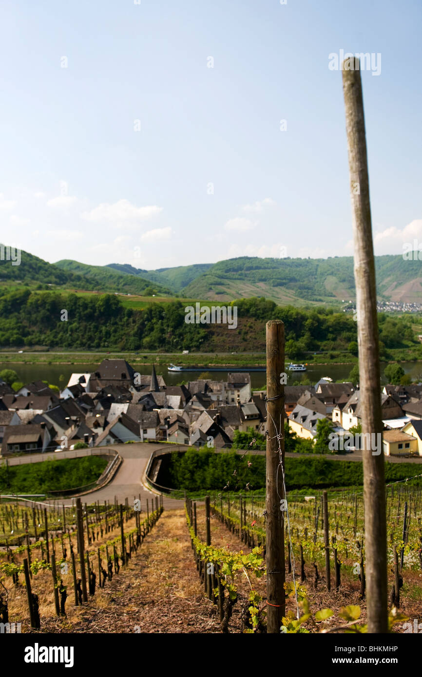 Vines and little village in the Moselle region Germany Stock Photo - Alamy