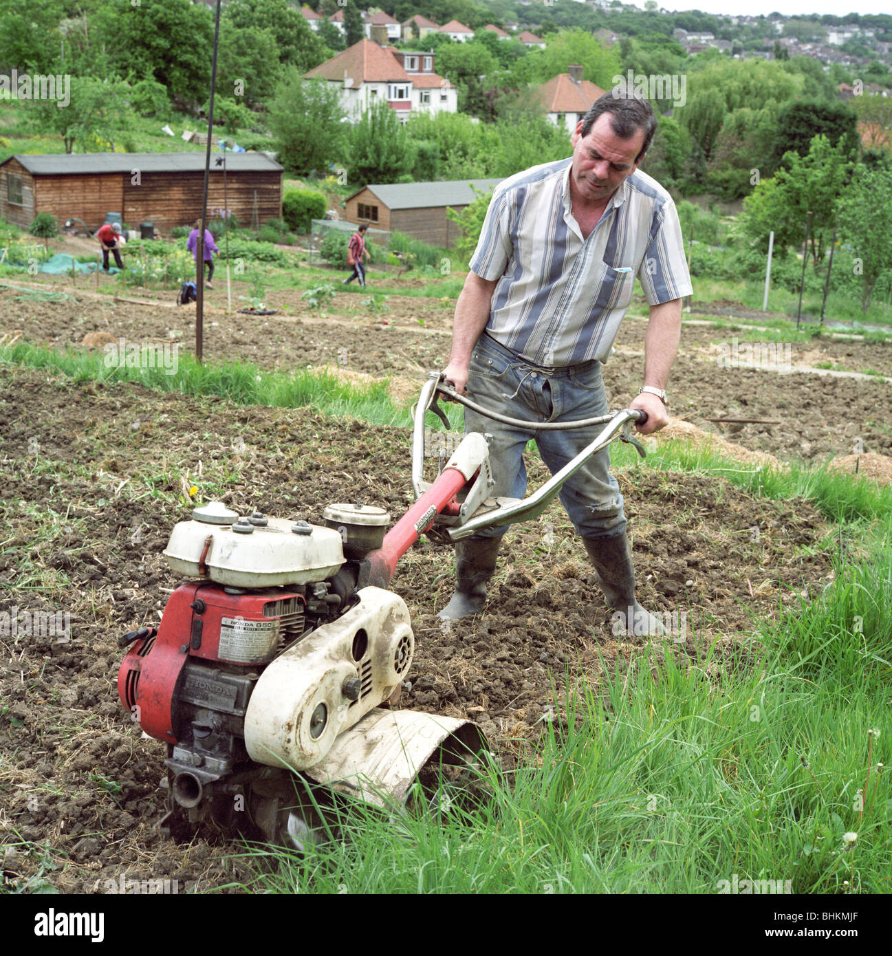 A man digging his allotment in London with a rotovator Stock Photo - Alamy