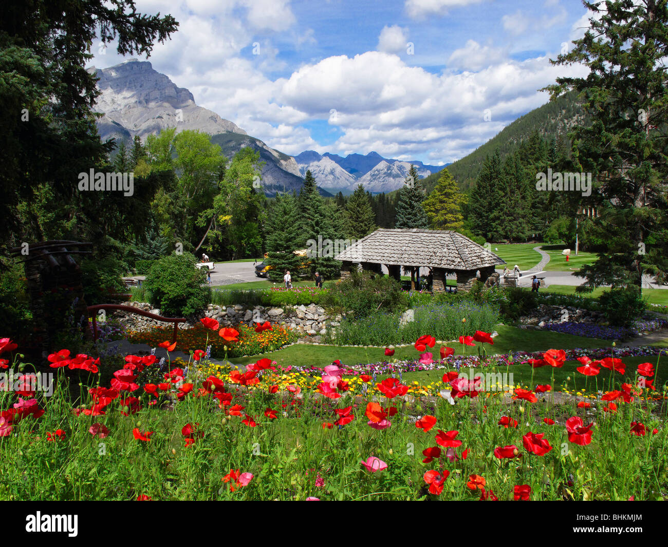 Red Poppies in a Garden, Rock Garden, Banff, Alberta, Canada Stock ...