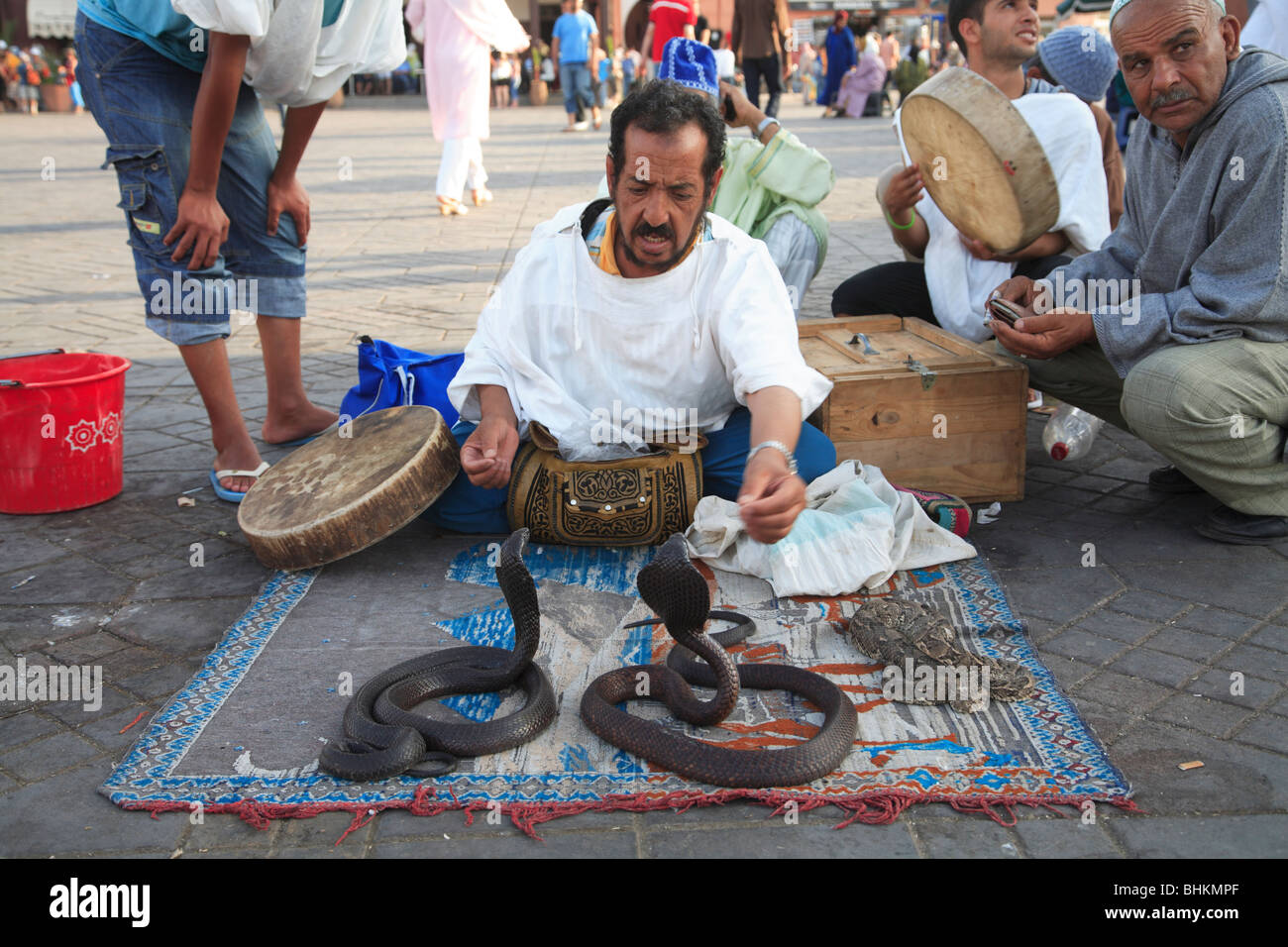 Marrakesh snakes tourist hi-res stock photography and images - Alamy