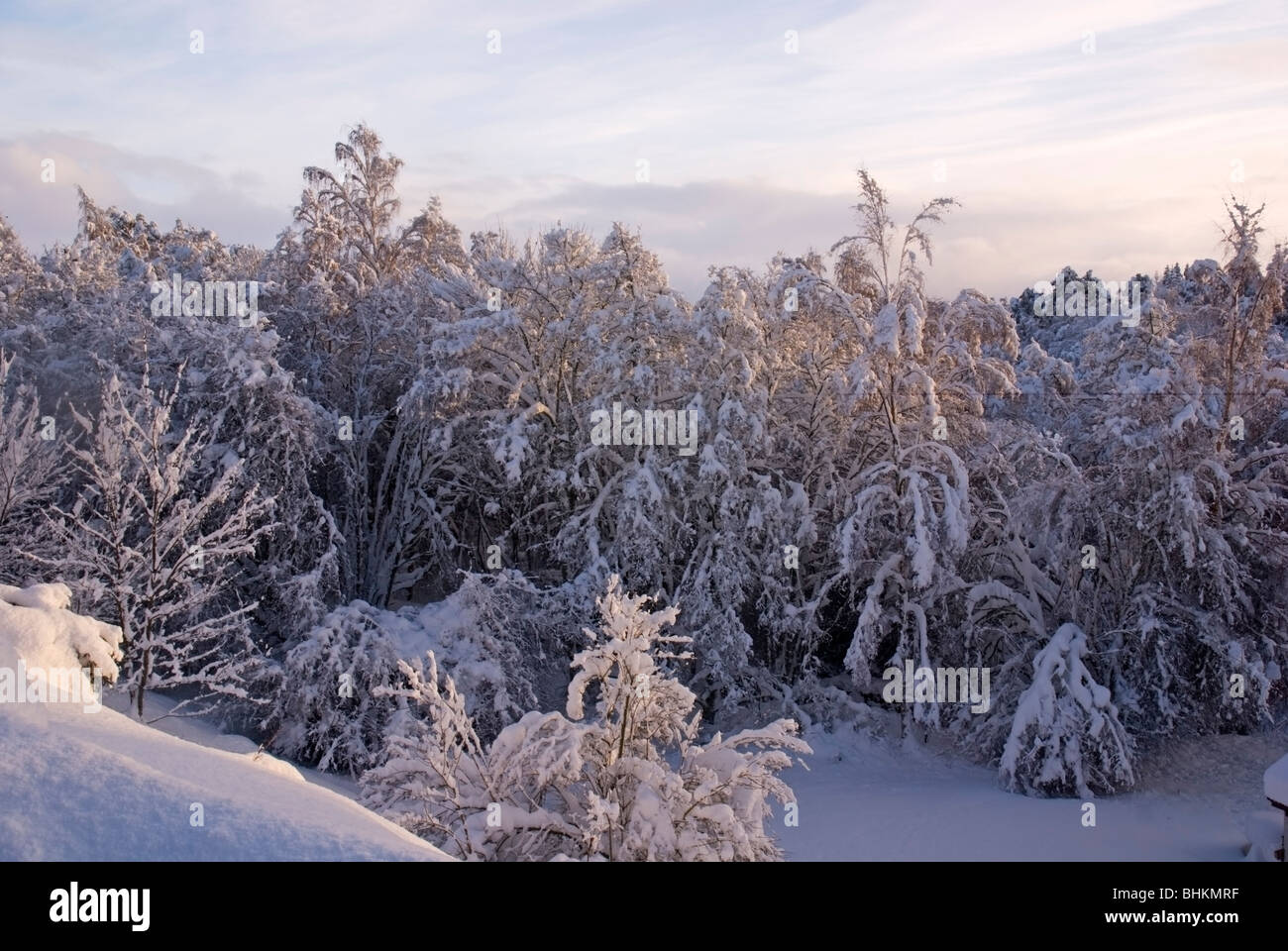 Snow scotland 2009 hi-res stock photography and images - Alamy