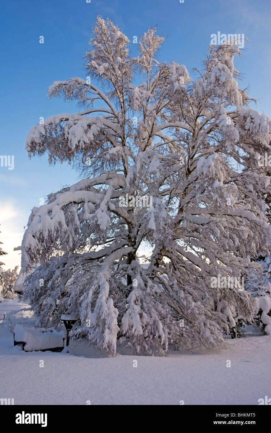 Snow scotland 2009 hi-res stock photography and images - Alamy