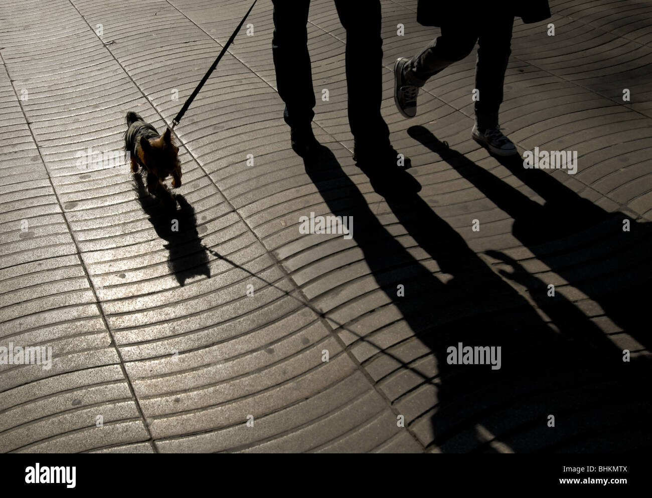 shadows of walkkers and small dog Stock Photo - Alamy