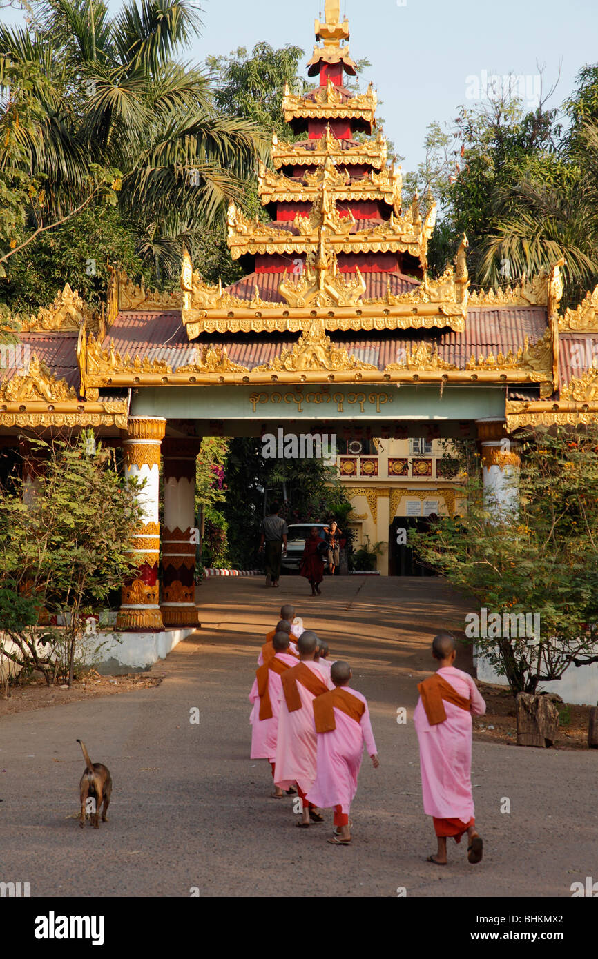 Myanmar, Burma, Yangon, Rangoon, buddhist monastery, nuns Stock Photo ...