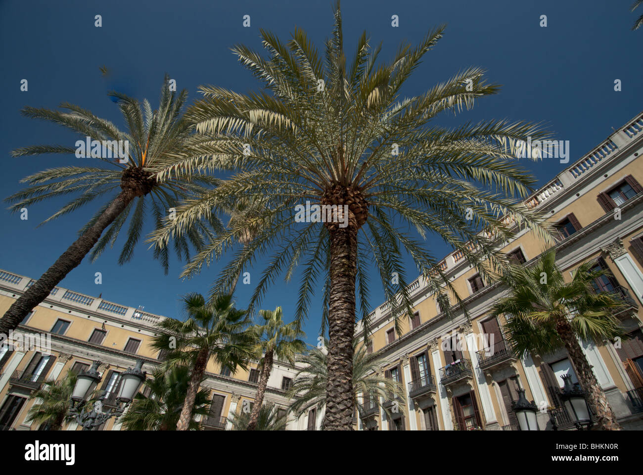 Placa Real, Barcelona, Spain Stock Photo - Alamy